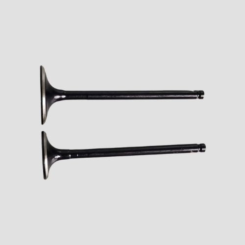 Valve Set FZ N/M | For Yamaha | Buy NV Spares | Genuine Parts Online ...
